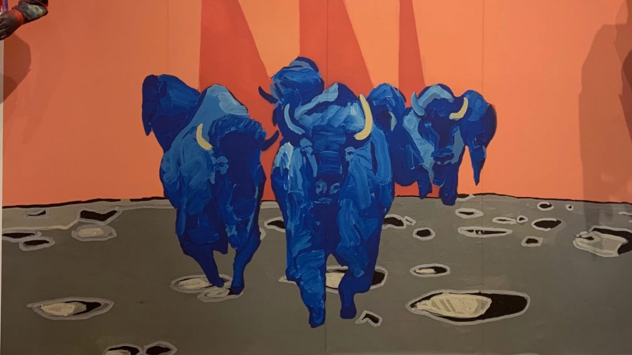 Everson Exhibit Challenges Native American Stereotypes - NCC News